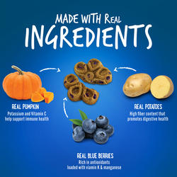 Fruitables® Biggies™ Pumpkin & Blueberry Dog Treats - 16 oz at Menards®