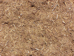 Premium Cypress Mulch - 2.0 Cu. ft. at Menards®