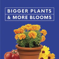 Schultz® Potting Soil Mix - 2 cu. ft. at Menards®