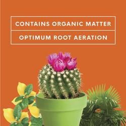 Schultz® Cactus Potting Soil Mix - 8 qt. at Menards®