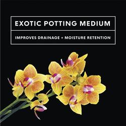 Schultz® Orchid Potting Soil Mix - 8 qt. at Menards®