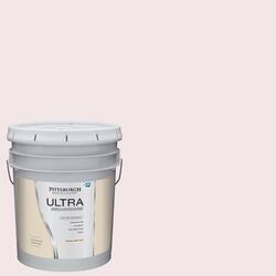Pittsburgh Paints & Stains® Ultra Interior Matte Bare Pink Ceiling ...