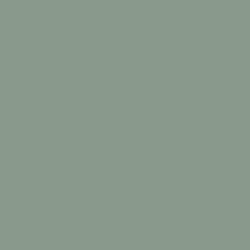 Pittsburgh Paints & Stains® Paramount® Interior Satin Birch Forest ...