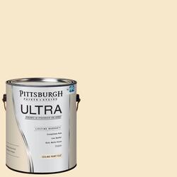 Pittsburgh Paints & Stains® Ultra Interior Matte Maiden Hair Ceiling ...