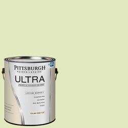 Pittsburgh Paints & Stains® Ultra Interior Matte Mellow Mint Ceiling ...