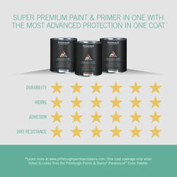 Pittsburgh Paints & Stains® Paramount® Exterior Semi-Gloss Victorian ...