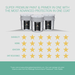 Pittsburgh Paints & Stains® Paramount® Exterior Flat American Anthem ...