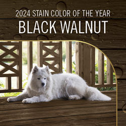 Pittsburgh Paints & Stains® Paramount® Black Walnut Low VOC Semi ...