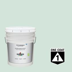 Pittsburgh Paints & Stains® Paramount® Interior Eggshell Summer Breeze ...