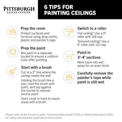 Pittsburgh Paints & Stains® Paramount® Interior Flat Lime Wash Ceiling ...