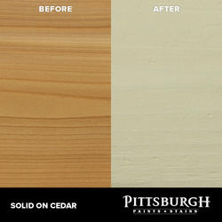 Pittsburgh Paints & Stains® Ultra Advanced Mystic White Solid Color ...