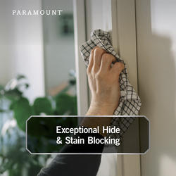 Pittsburgh Paints & Stains® Paramount® Interior Flat Elusion Paint ...