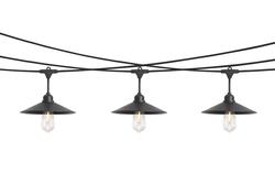 Patriot Lighting® 24' 12-Light Ivy String Light at Menards®