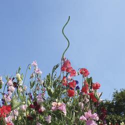 Master Garden™ 4' Spiral Stake at Menards®