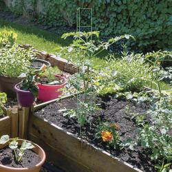 Master Garden™ 57" Vegetable Ladder at Menards®