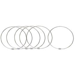 Casita™ Wire Stake Loop (Set of Six) at Menards®