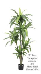 Phoenix Decor 64" Variegated Dracaena Artificial Potted Plant at Menards®