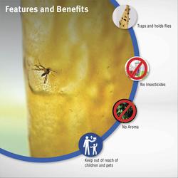 Raid® Fly Ribbon - 4 Pack at Menards®