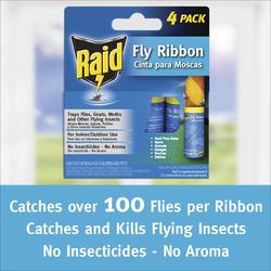 Raid® Fly Ribbon - 4 Pack at Menards®