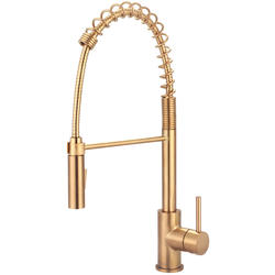 Pioneer Motegi One-Handle Pull-Down Brushed Gold Kitchen Faucet at Menards®