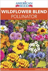 Pollinator Blend Flower Seed Mix - 2 oz. at Menards®