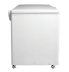 Criterion® 18.3 cu.ft. White Manual Defrost Chest Freezer at Menards®