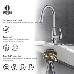 Wasserman Single-Handle Pull-Down Chrome Kitchen Faucet at Menards®