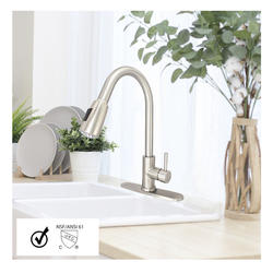 Wasserman Single-Handle Pull-Down Stainless Steel Kitchen Faucet at ...