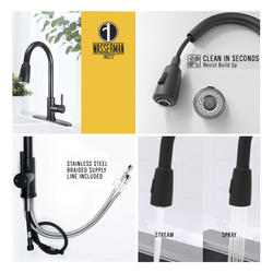 Wasserman Single-Handle Pull-Down Matte Black Kitchen Faucet at Menards®