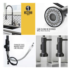 Wasserman Single-Handle Pull-Down Matte Black Kitchen Faucet at Menards®