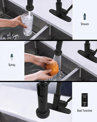 Wasserman Single-Handle Pull-Down Matte Black Kitchen Faucet at Menards®