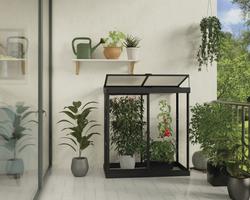 Palram® Canopia® Ivy 4' x 2' Mini Greenhouse - Black at Menards®