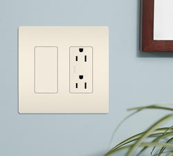 Legrand® Pass & Seymour Painted Steel Blank Insert, Light Almond at ...