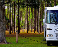 Legrand® 30 Amp Black Flush Mount RV/Trailer Power Outlet at Menards®