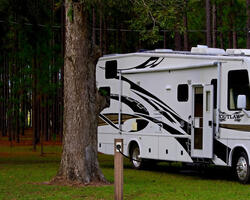 Legrand® 30 Amp Black Flush Mount RV/Trailer Power Outlet at Menards®