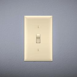 Legrand® 20 Amp 1 Pole Ivory Toggle Light Switch at Menards®