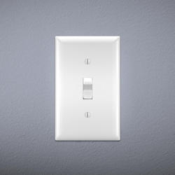 Legrand® 20 Amp 1 Pole White Toggle Light Switch at Menards®
