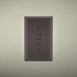 Legrand® 20 Amp 1 Pole Black Toggle Light Switch at Menards®
