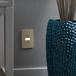 Legrand radiant® 15-Amp Ivory Tamper Resistant Decorator Outlet with ...