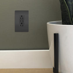 Legrand® radiant® 15 Amp Black Tamper-Resistant Type A/C USB Outlet at ...