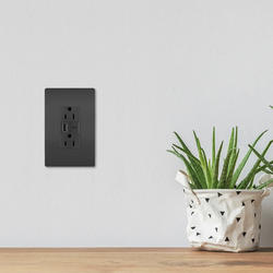 Legrand® radiant® 15 Amp Black Tamper-Resistant Type A/C USB Outlet at ...