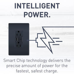 Legrand® radiant® 15 Amp Graphite Tamper-Resistant Type A/C USB Outlet ...