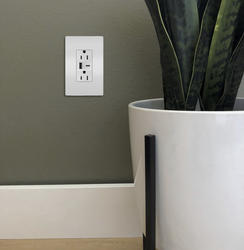 Legrand® radiant® 15 Amp White Tamper-Resistant Type A/C USB Outlet at ...