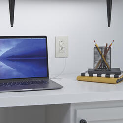 Legrand radiant® Light Almond 15-Amp Type C/C 6.0 USB Charger With ...