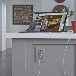 Legrand® radiant® 15 Amp Nickel Tamper-Resistant Dual Type C USB Outlet ...