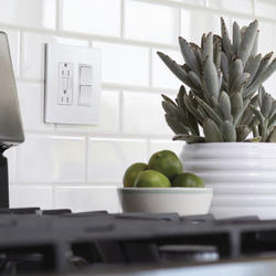 Legrand® radiant® 15-Amp 1-Pole White Combination Rocker Light Switch ...