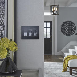 Legrand® radiant® 15-Amp 1-Pole Graphite Rocker Light Switch at Menards®