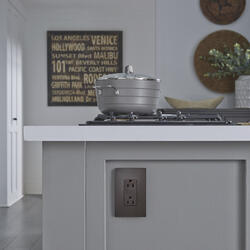 Legrand® radiant® 15 Amp Dark Bronze Tamper-Resistant Decorator Outlet ...