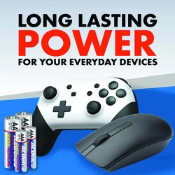 AC Delco™ AA, AAA and CR2032 Multipack Batteries at Menards®