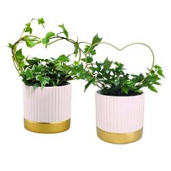 4" Ivy with Heart Trellis at Menards®